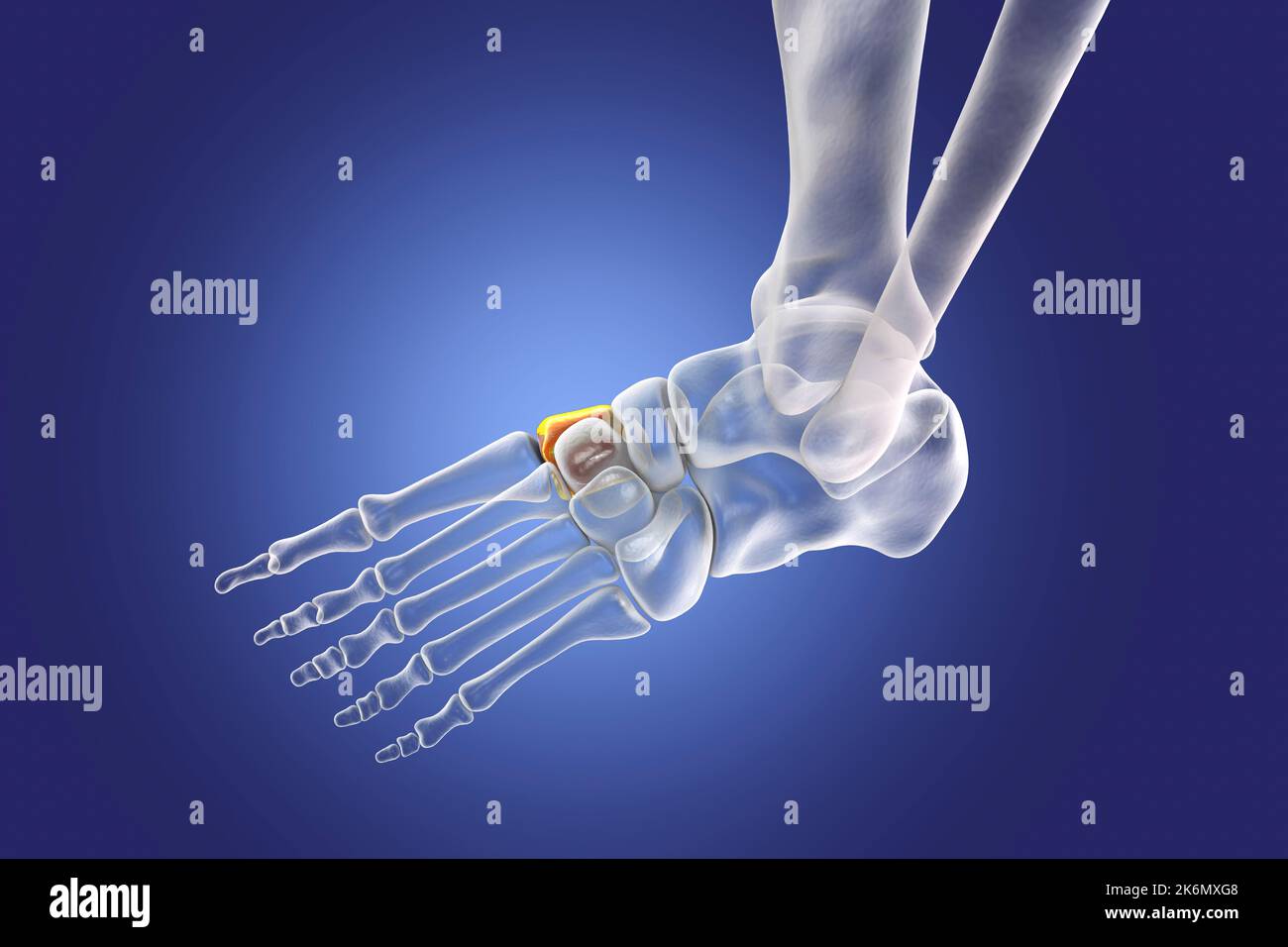 First cuneiform hi-res stock photography and images - Alamy