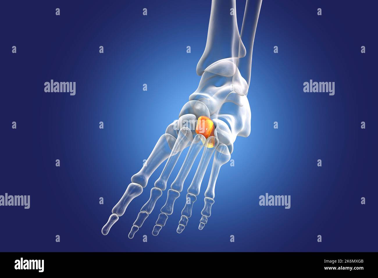 Cuneiforms hi-res stock photography and images - Alamy