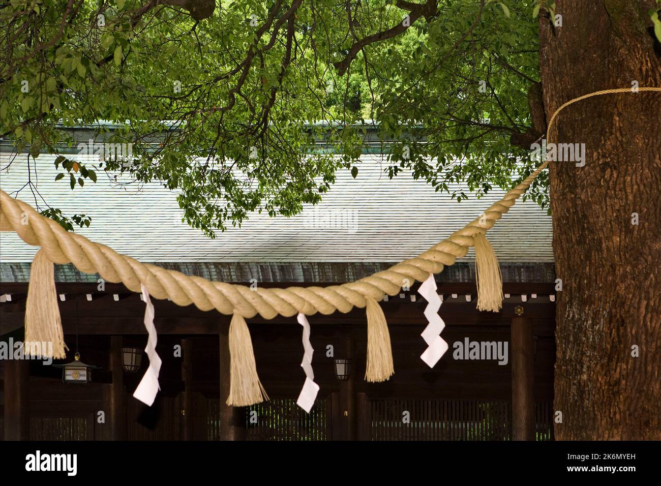 Rope w folded paper purity symbols Meiji Shrine Tokyo Japan Stock Photo ...
