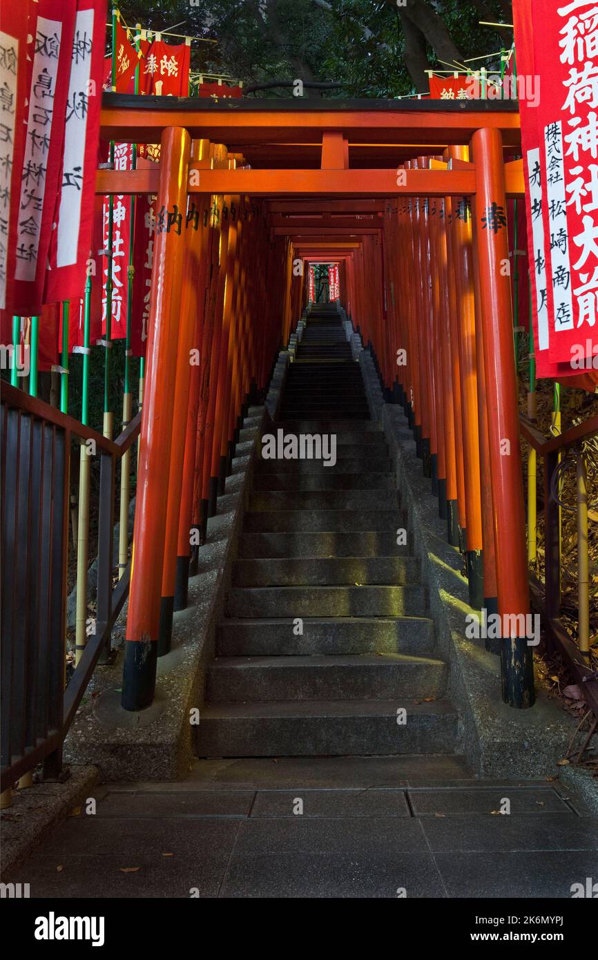 Row of torii gates hillside night Hie Jinja Shrine Tokyo Japan Stock ...