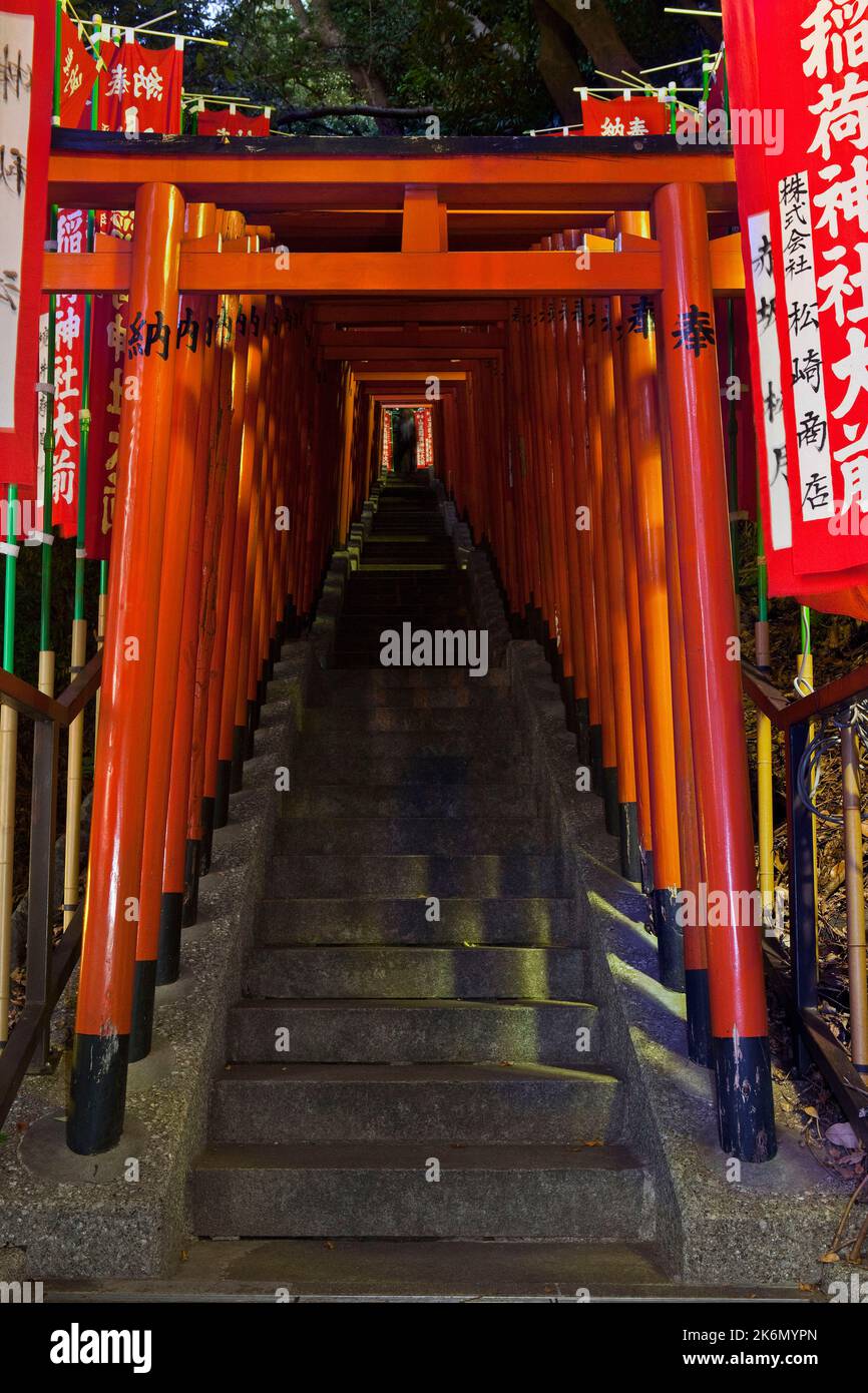 Torii gates red stairs hi-res stock photography and images - Alamy