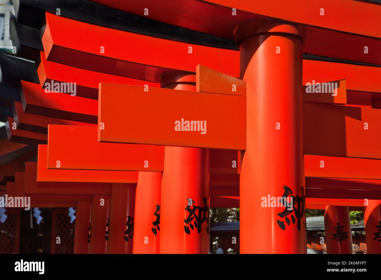 Row of torii gates Toyosaka Inari Shrine Shibuya Tokyo Japan 1 Stock ...
