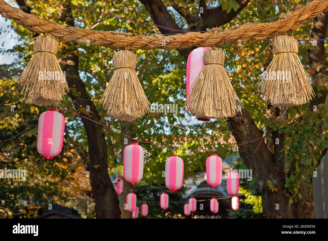 Shimenawa rice straw rope for purification lanterns Tori No Ichi ...