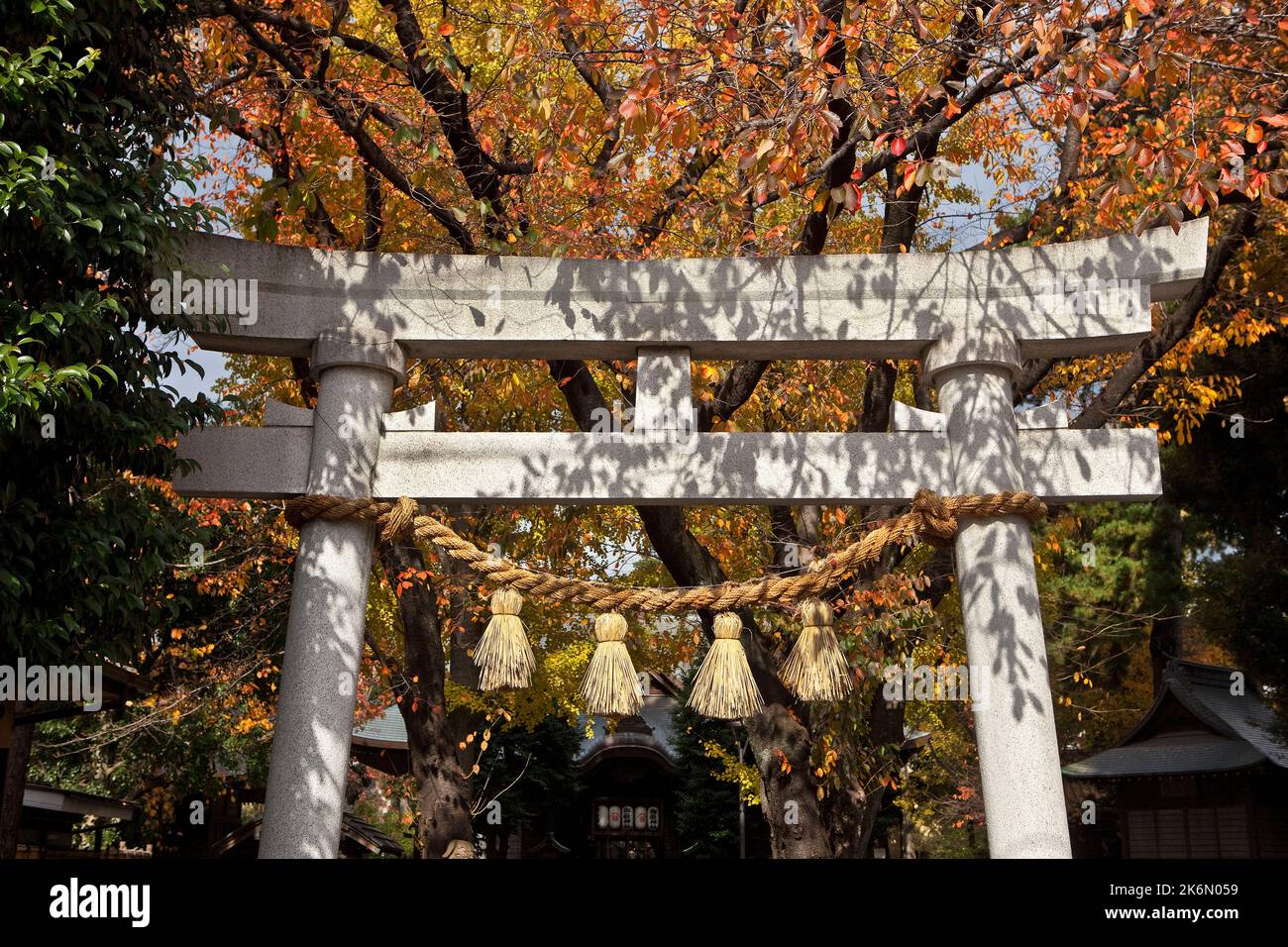 Shimenawa rice straw rope for purification Torii gate Mitake Jinja ...