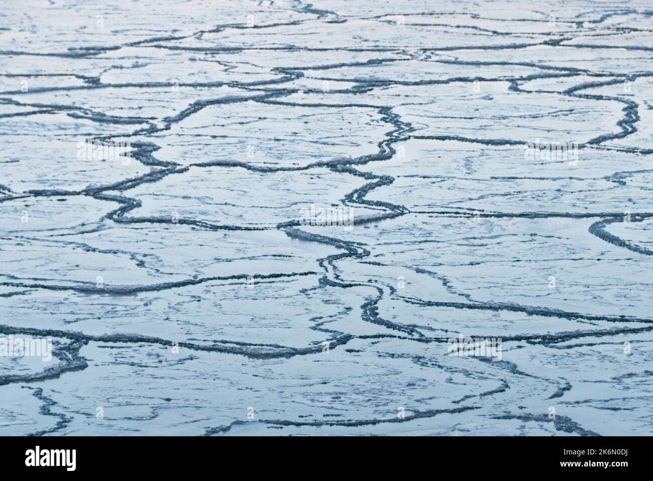 Large pieces of ice floating in a harbor. The large pieces of ice have ...