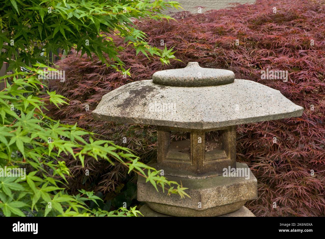 Stone lantern Buddhist Temple Tokyo Japan Stock Photo - Alamy