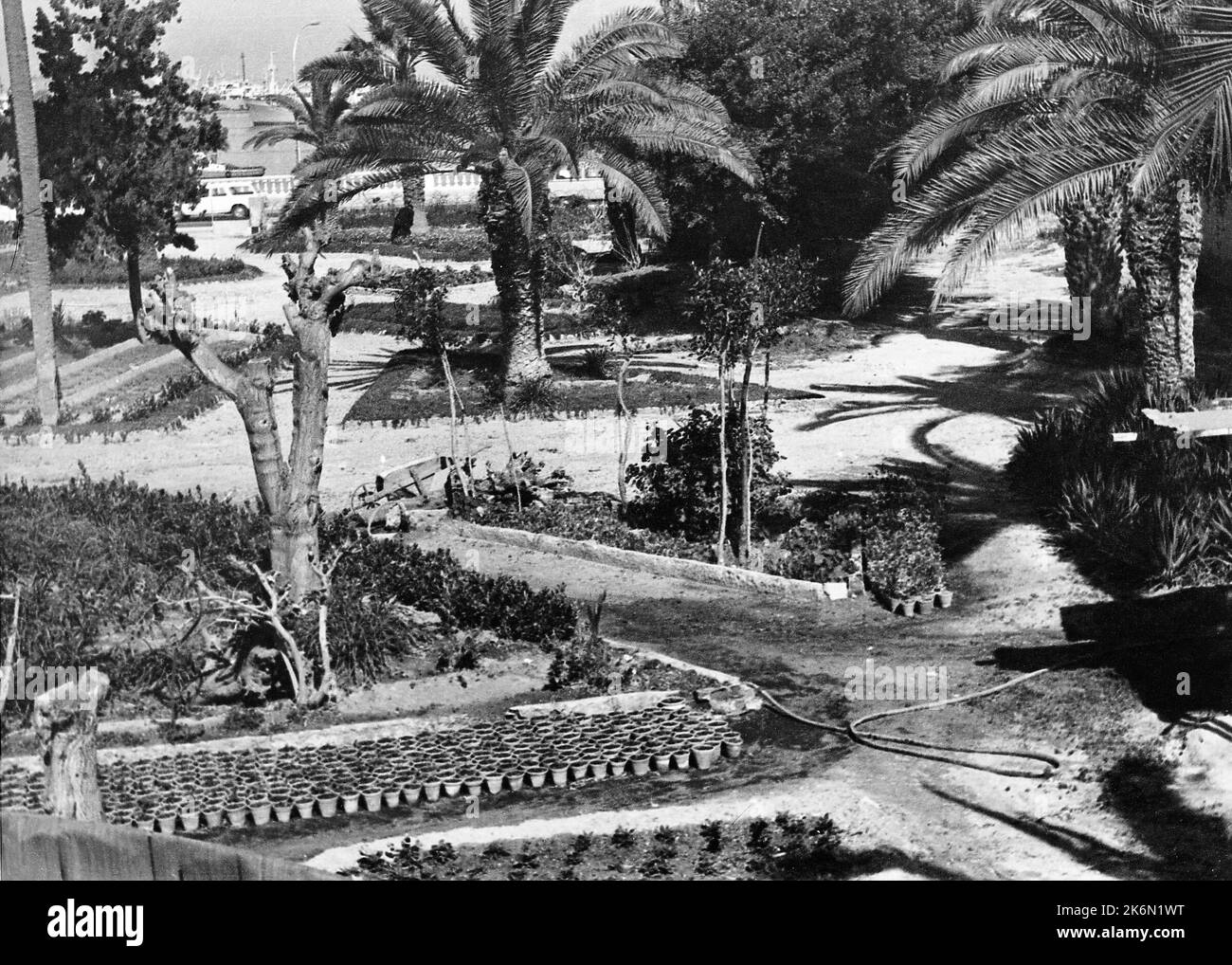 Tripoli - Vacant Site - 1973, United States photographs Related to ...