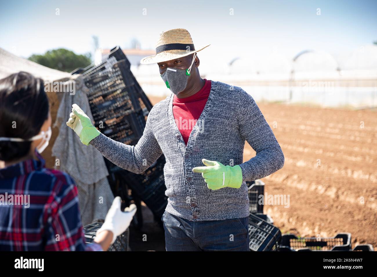 Two farmers in protective mask are planning work Stock Photo - Alamy