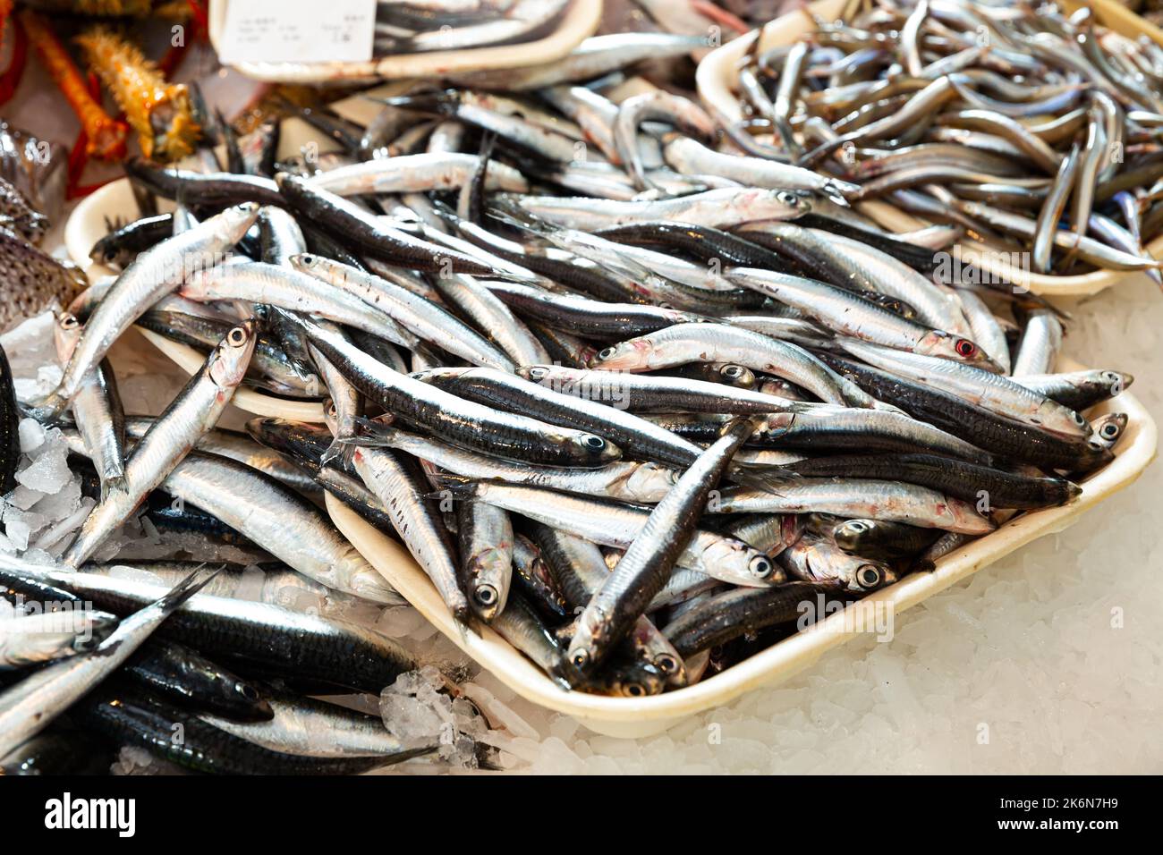 Pile of fresh anchovies fishes laying on the ice on the market Stock ...