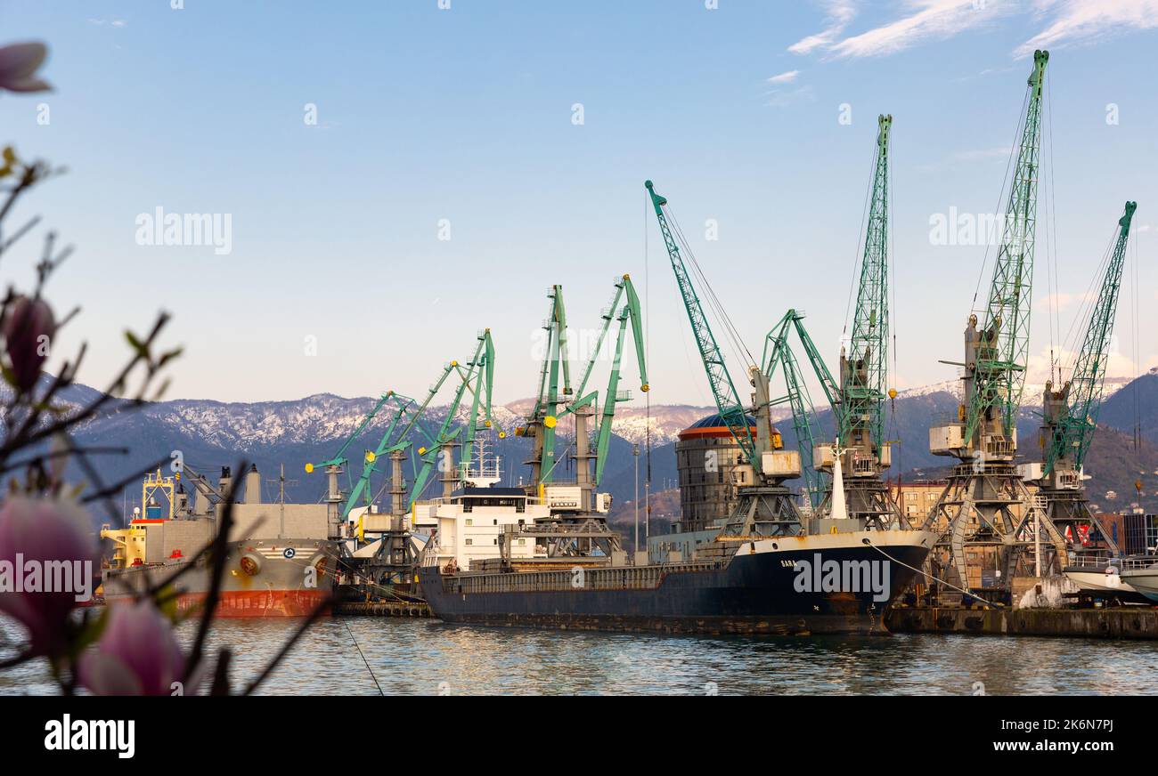 Batumi Sea Port with cranes and ships Stock Photo - Alamy