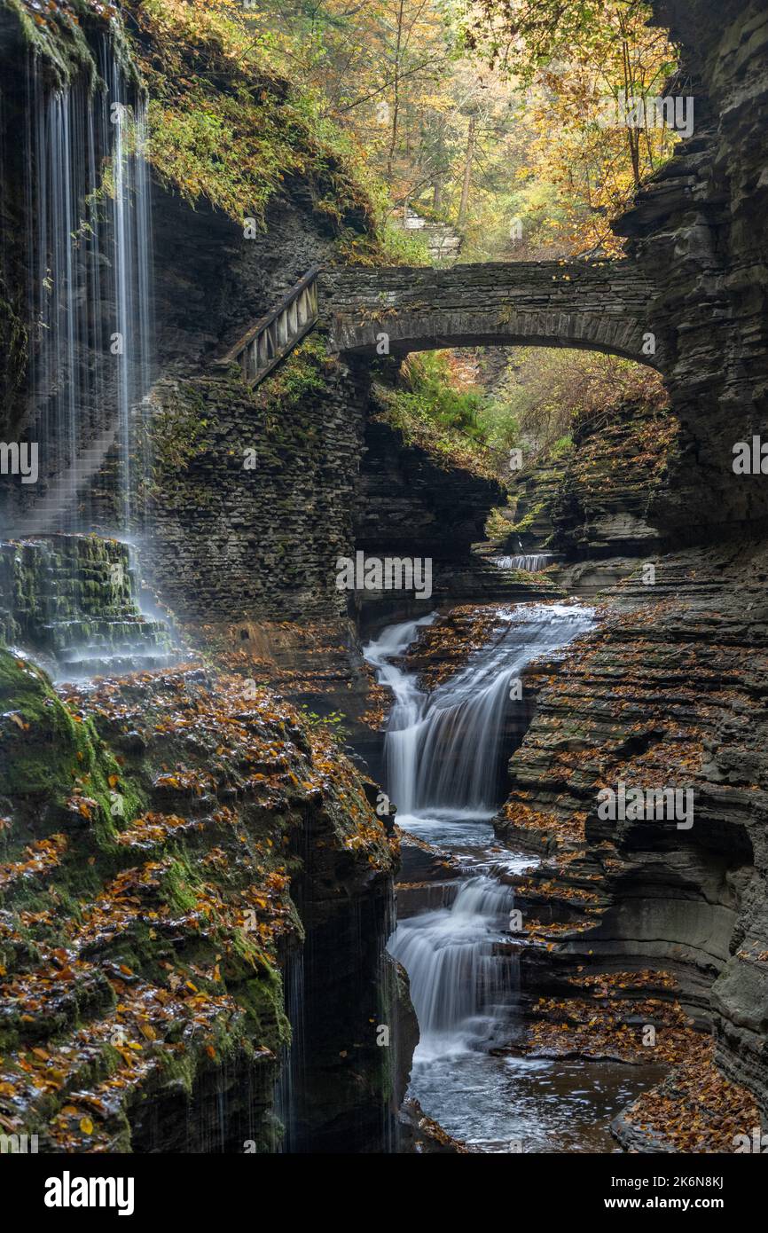 Watkins Glen Rainbow Falls New York - Autumn trees & fall foliage in ...