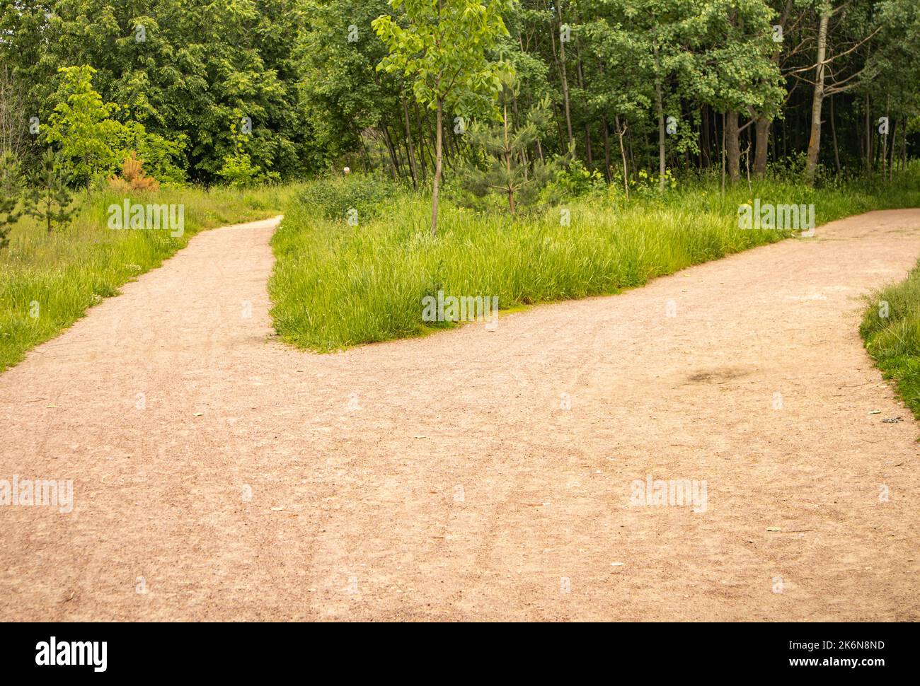 Two paths fork forest hi-res stock photography and images - Alamy