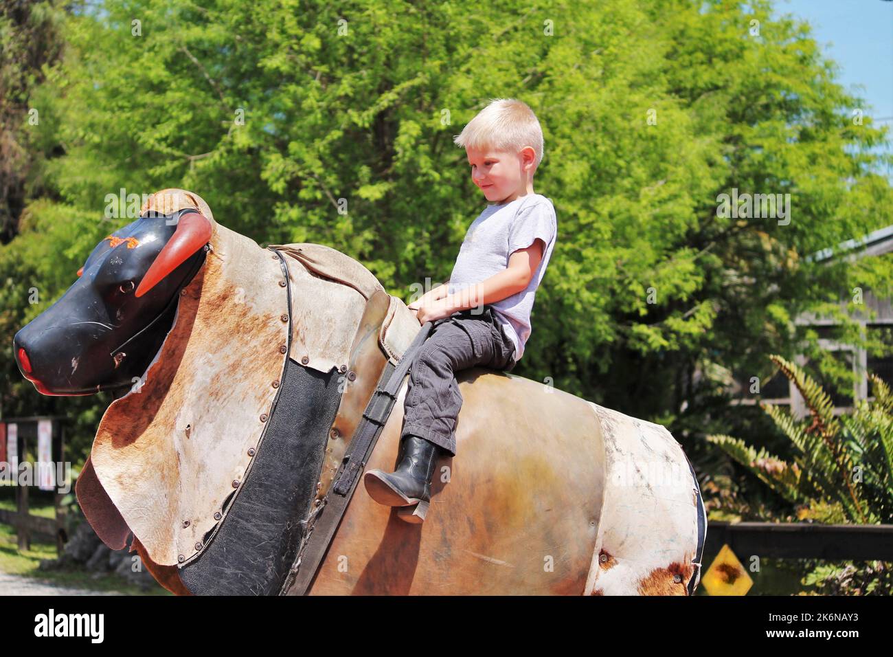A young boy, wearing cowboy boots, riding on the back of a mechanical ...