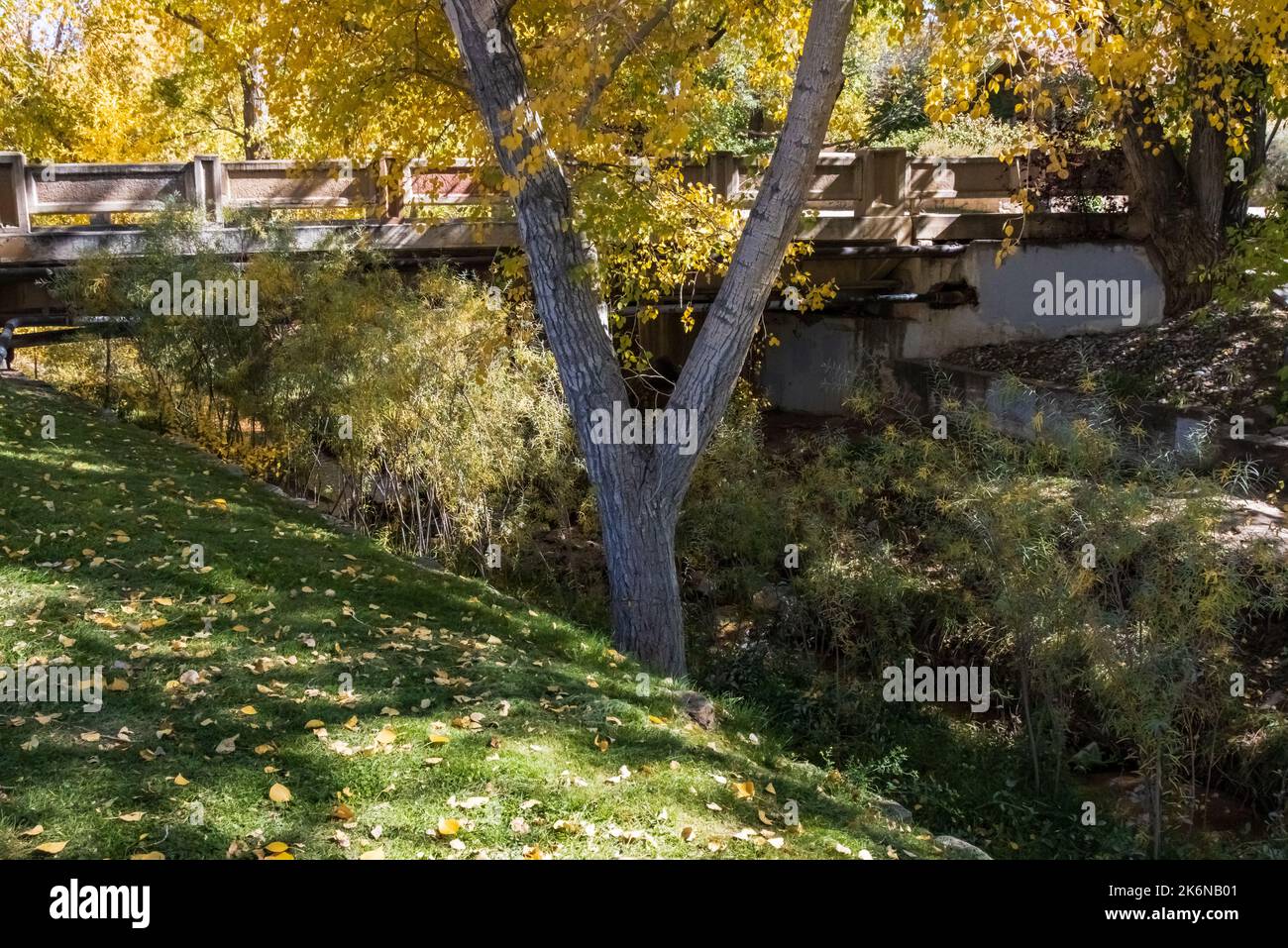 Walking Bridge over the Santa Fe River Stock Photo - Alamy