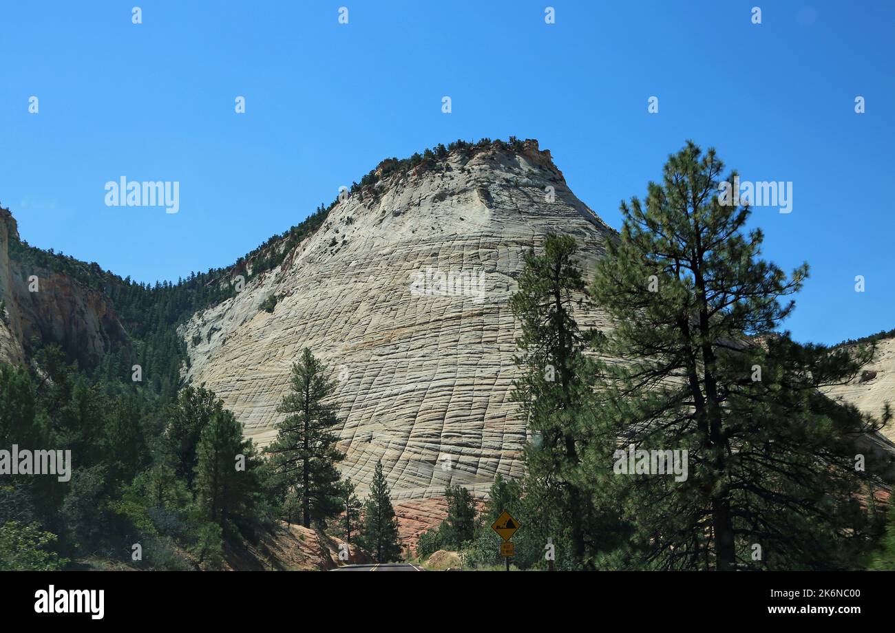 Checkerboard Mesa behind trees - Zion National Park, Utah Stock Photo ...