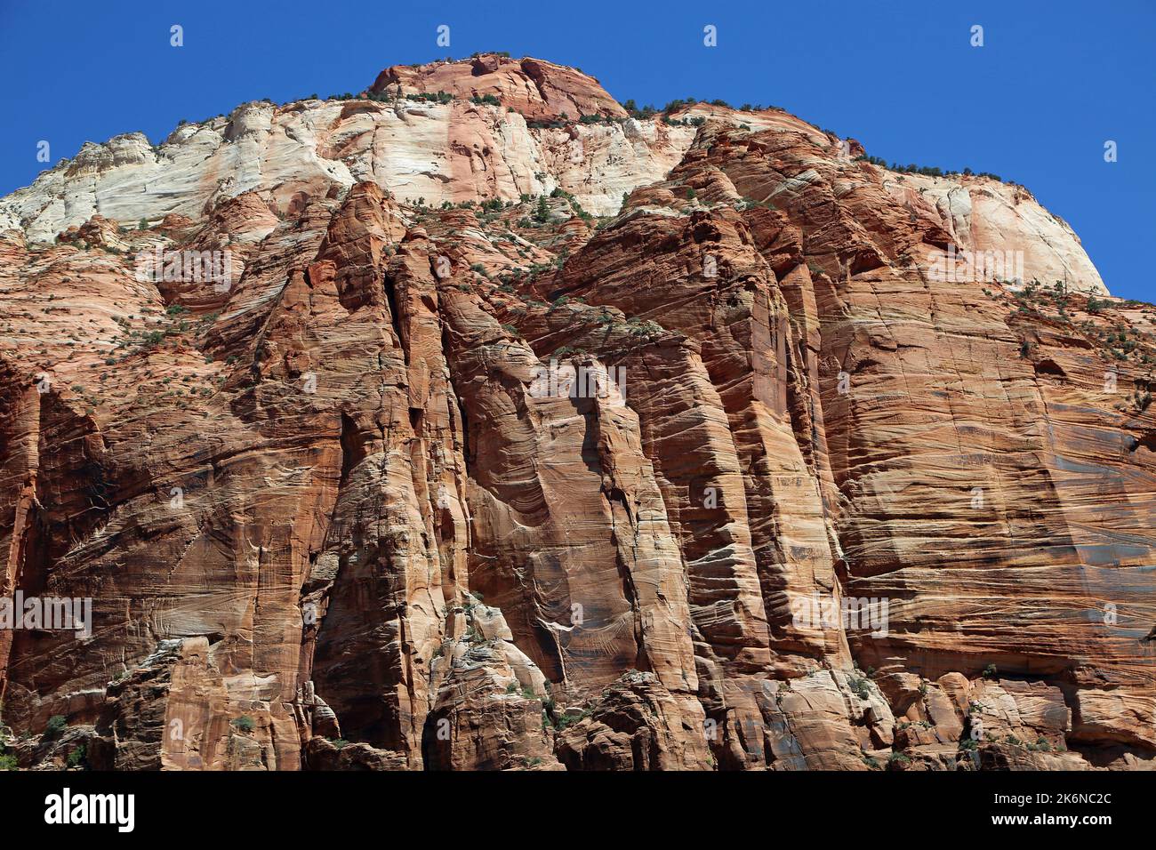 The East Temple - Zion National Park, Utah Stock Photo - Alamy