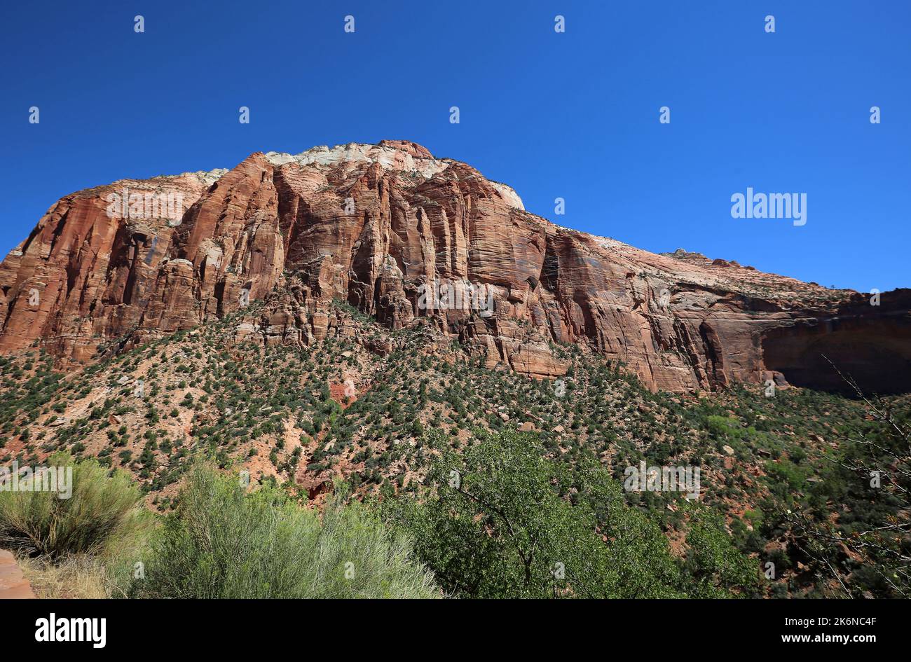 Landscape with East Temple - Zion National Park, Utah Stock Photo - Alamy