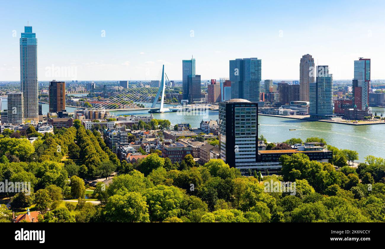 Aerial view of Rotterdam cityscape on Nieuwe Maas with Erasmus cable ...