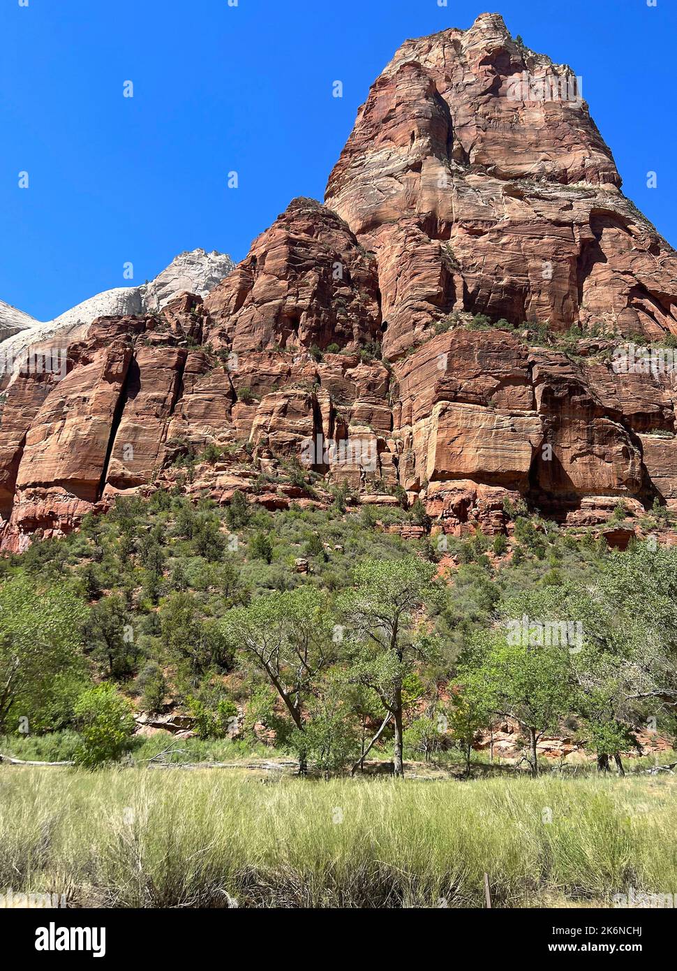 Angels Landing vertical - Zion National Park, Utah Stock Photo - Alamy