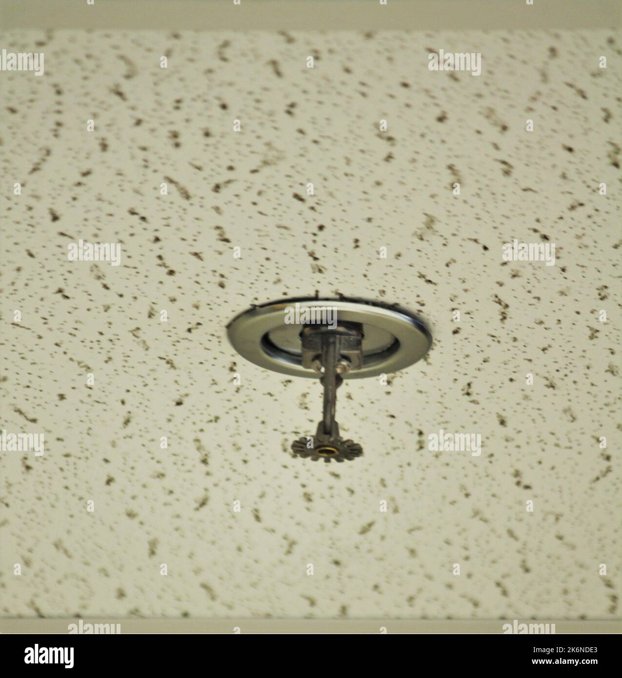 Closeup Image Of Fire Sprinkler in Ceiling Stock Photo - Alamy