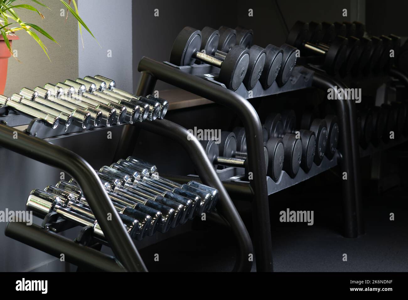 Fitness sport gym workout exercise weight training muscle health, for ...