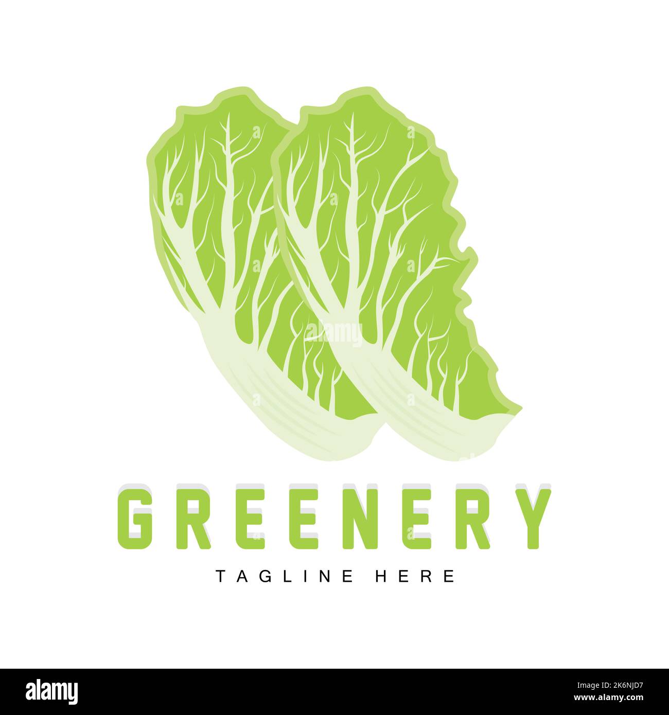 Cabbage ingredients Stock Vector Images - Alamy