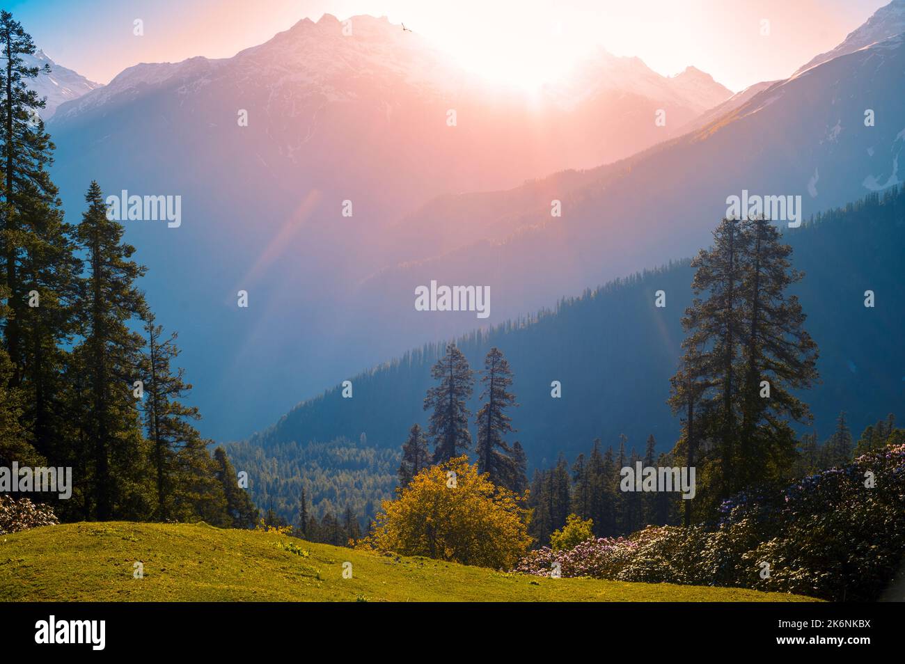 Sunrise in the mountain. Scenic meadows of the Parvati valley Himalayan ...