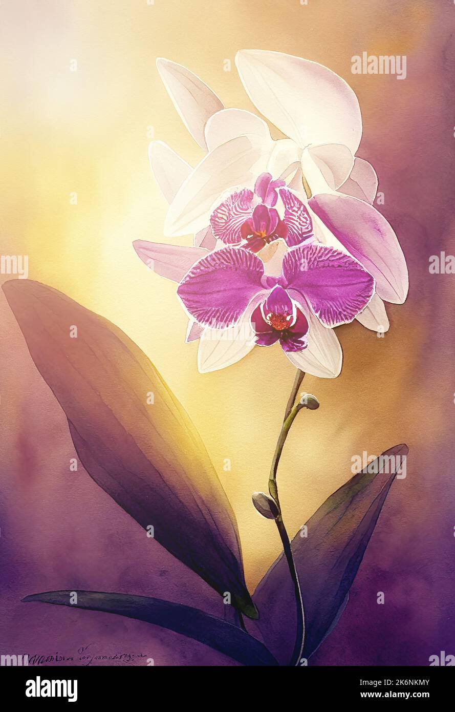 Background with beautiful watercolor orchid. Flower background Stock ...