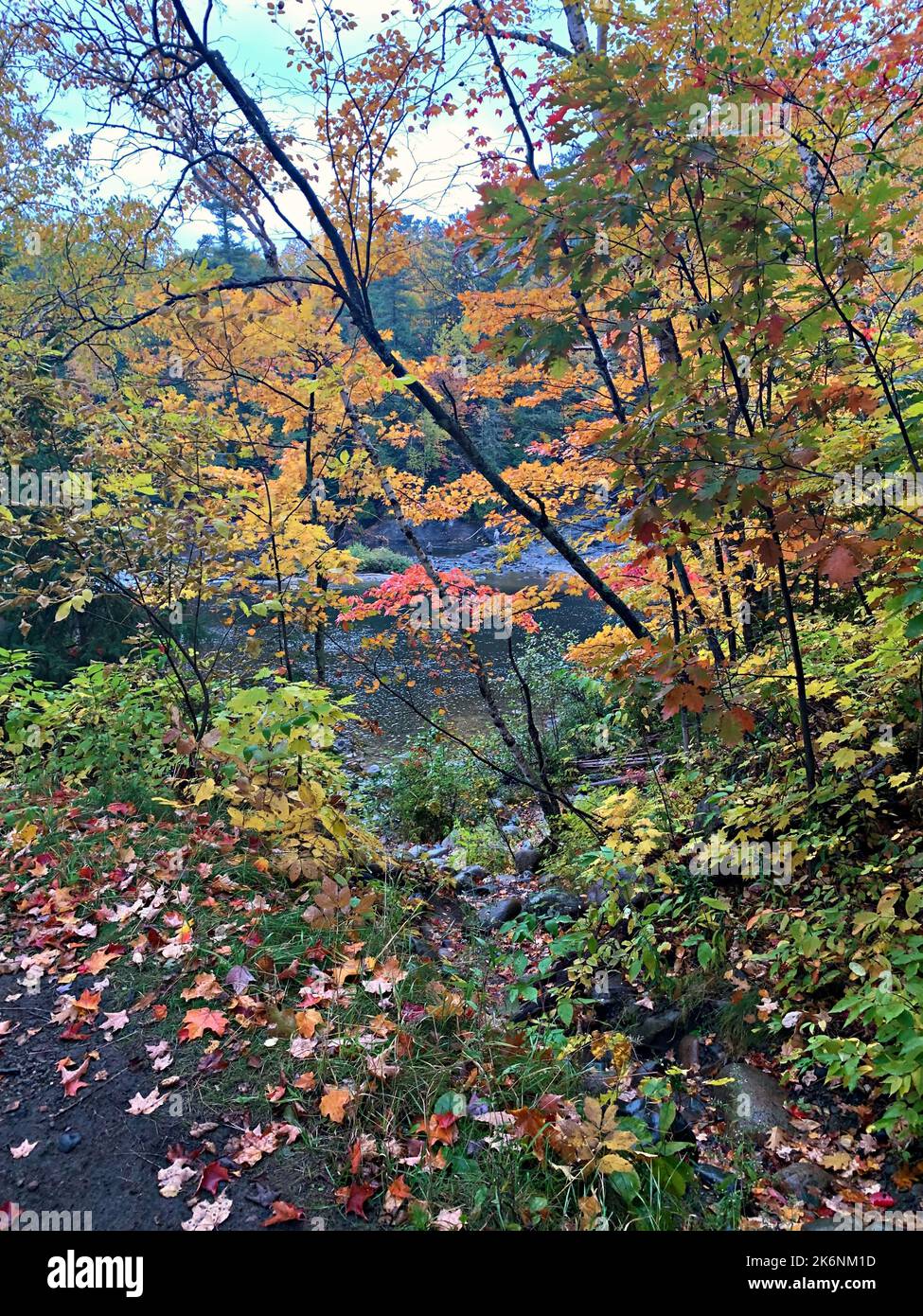Mesmerizing colors of Autumn/Fall colors/foliage at the Batchawana Bay ...