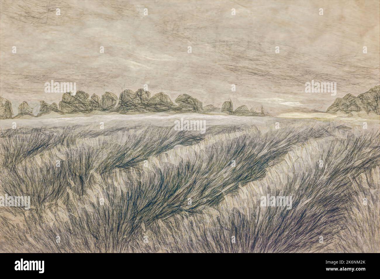 Beautiful purple lavender field at sunset. Drawing effect Stock Photo ...