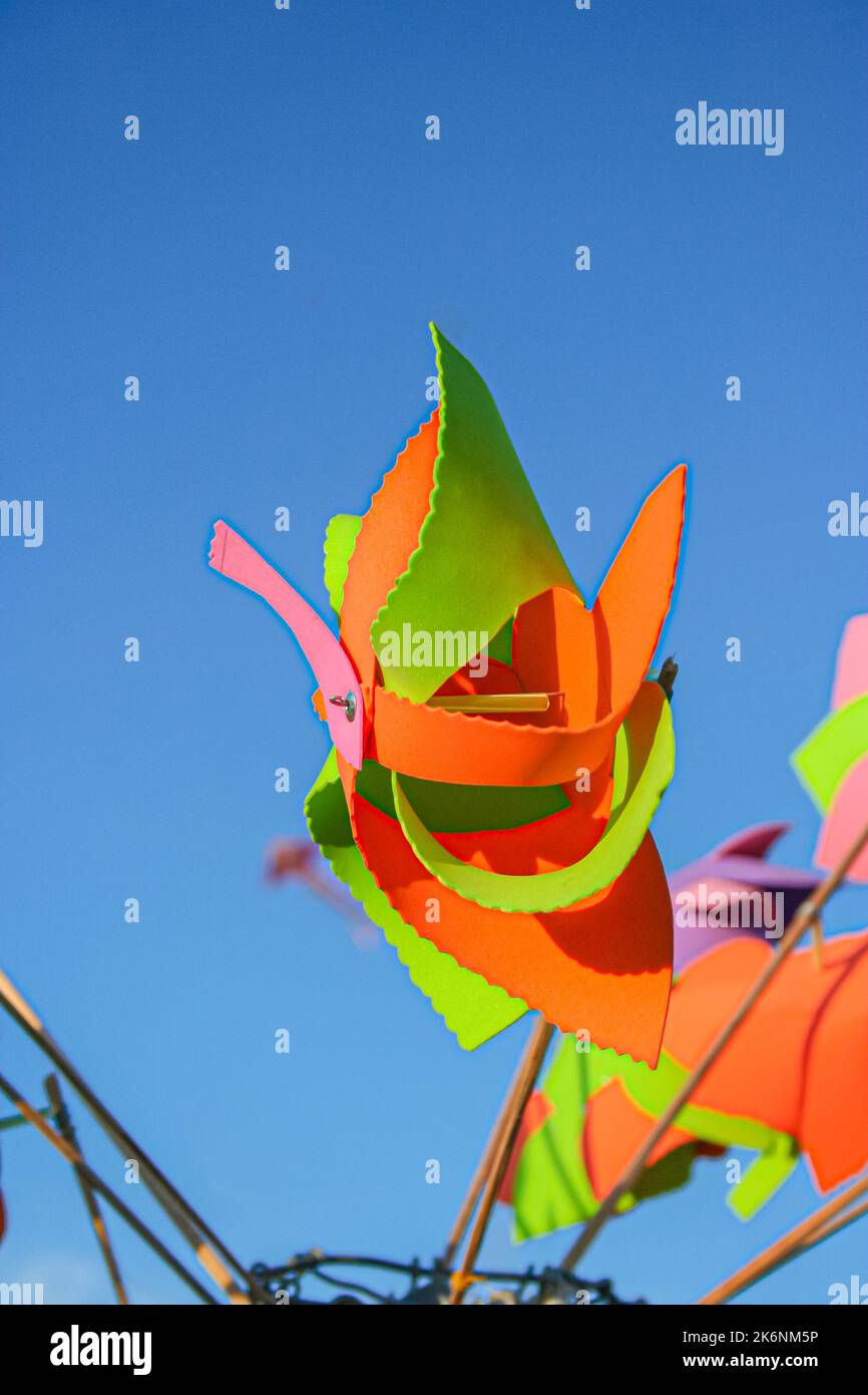 Colorful paper pinwheel craft under blue sky Stock Photo - Alamy