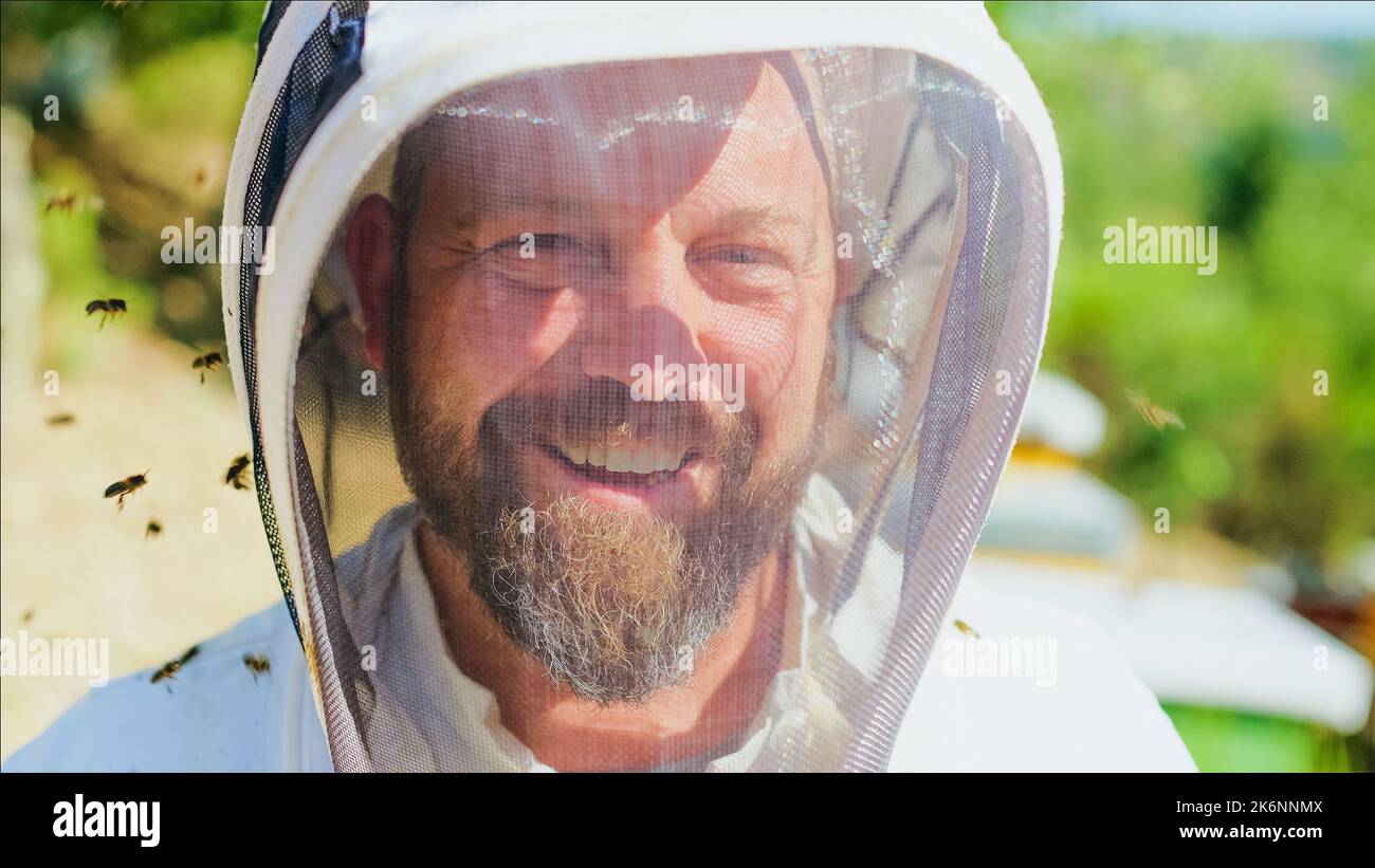 Bees flying around the protected face of a beekeeper Stock Photo - Alamy