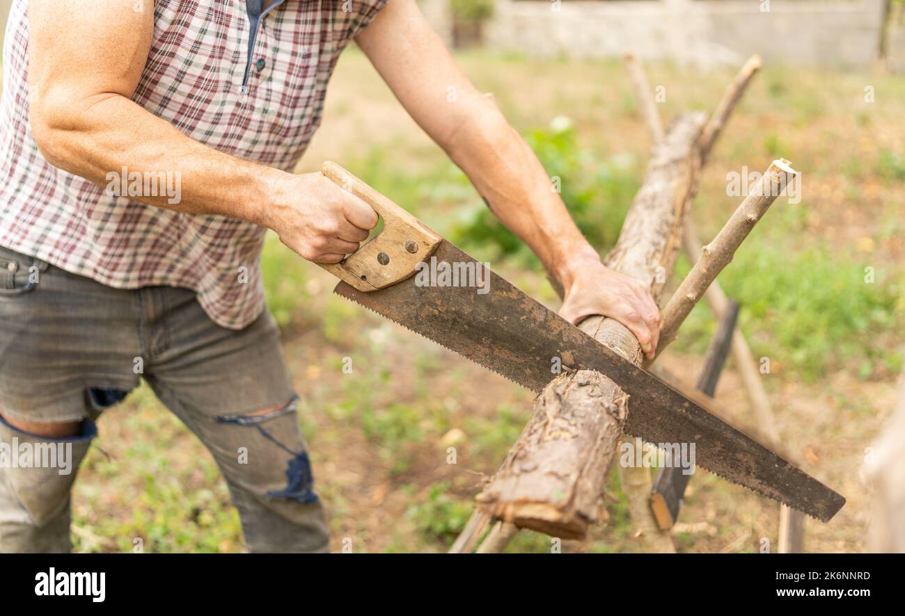 Close up view of a woodcutter chopping a log Stock Photo - Alamy