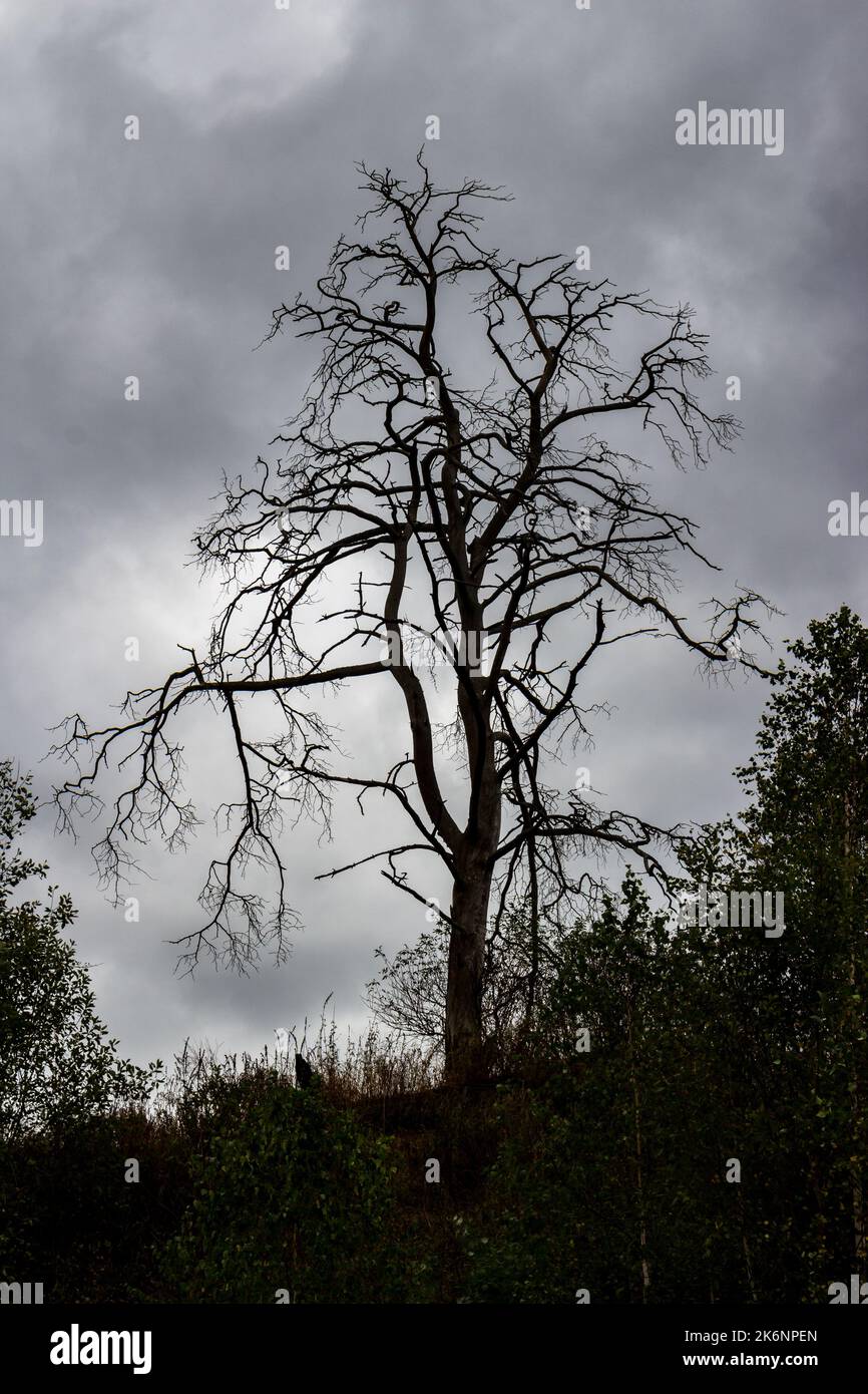 Gloomy view hi-res stock photography and images - Alamy