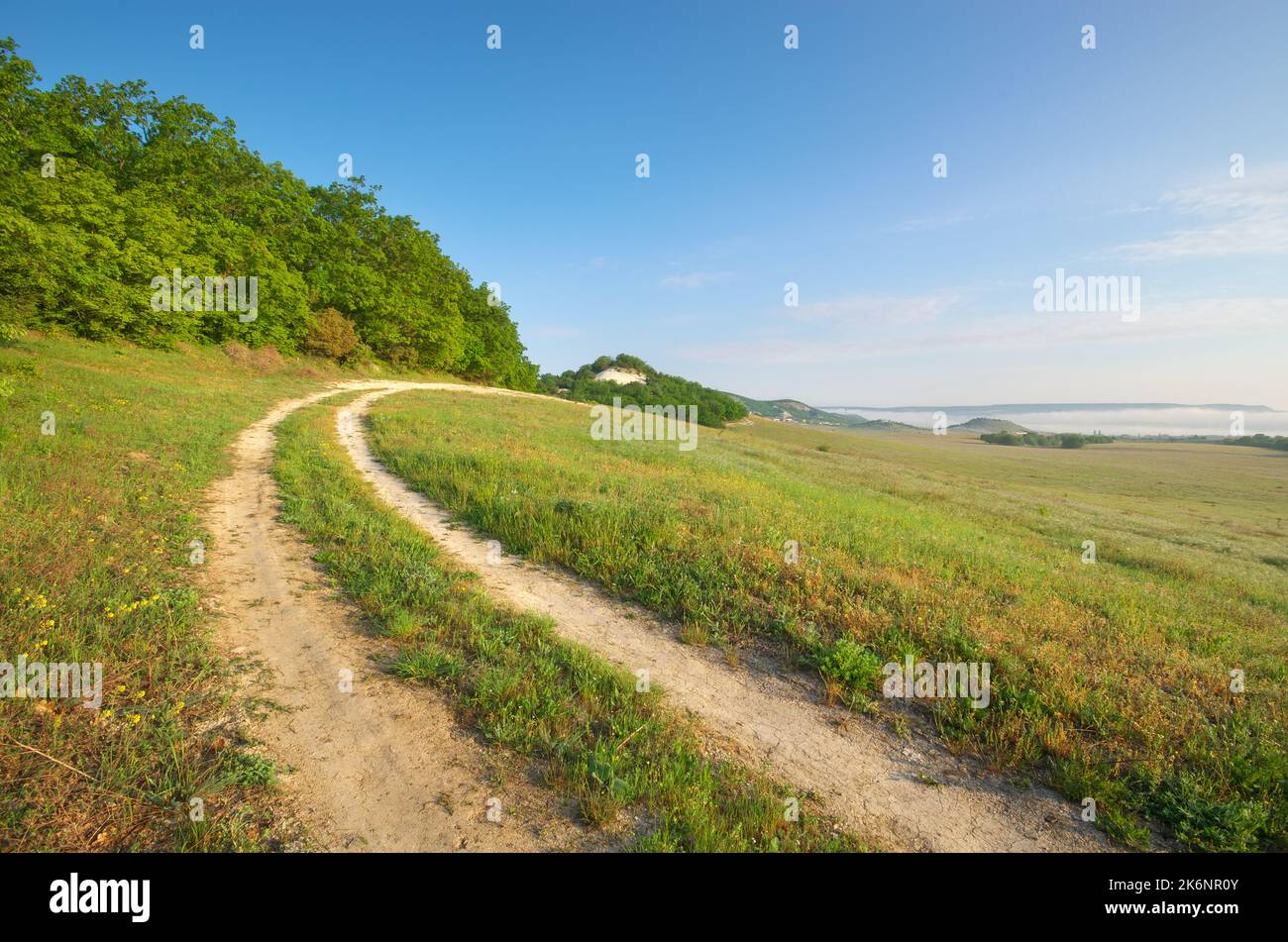 Road lane and deep blue sky. Green meadow and spring flowers Stock ...