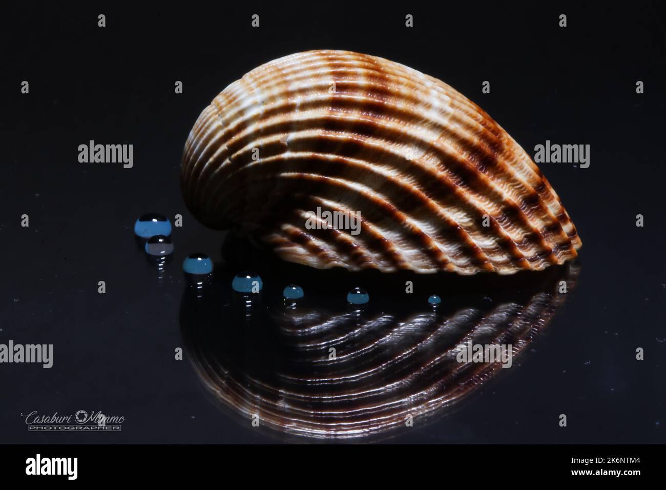 Seashell water drops Stock Photo - Alamy