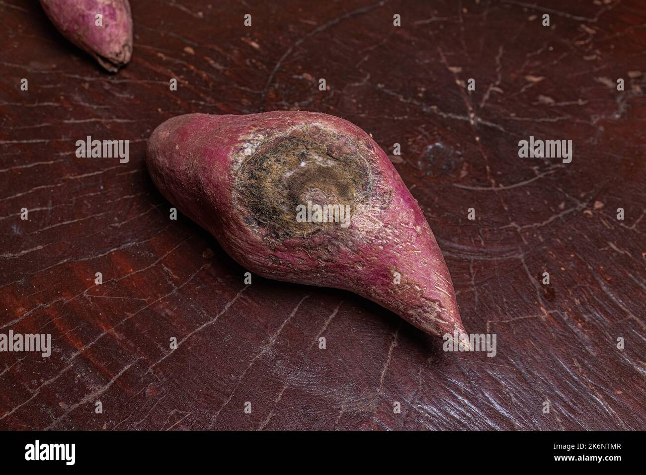 sweet potato with sweet-tasting tuberous roots used as a root vegetable ...