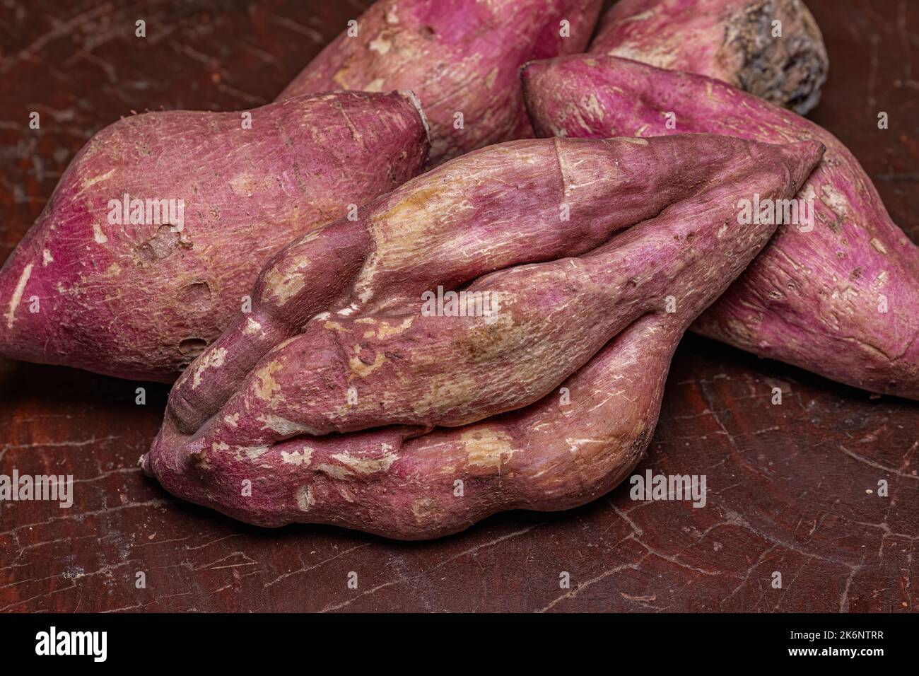 sweet potato with sweet-tasting tuberous roots used as a root vegetable ...