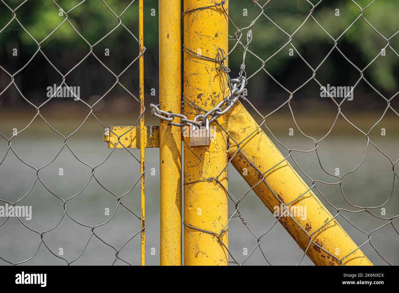 Wire mesh gate hi-res stock photography and images - Alamy