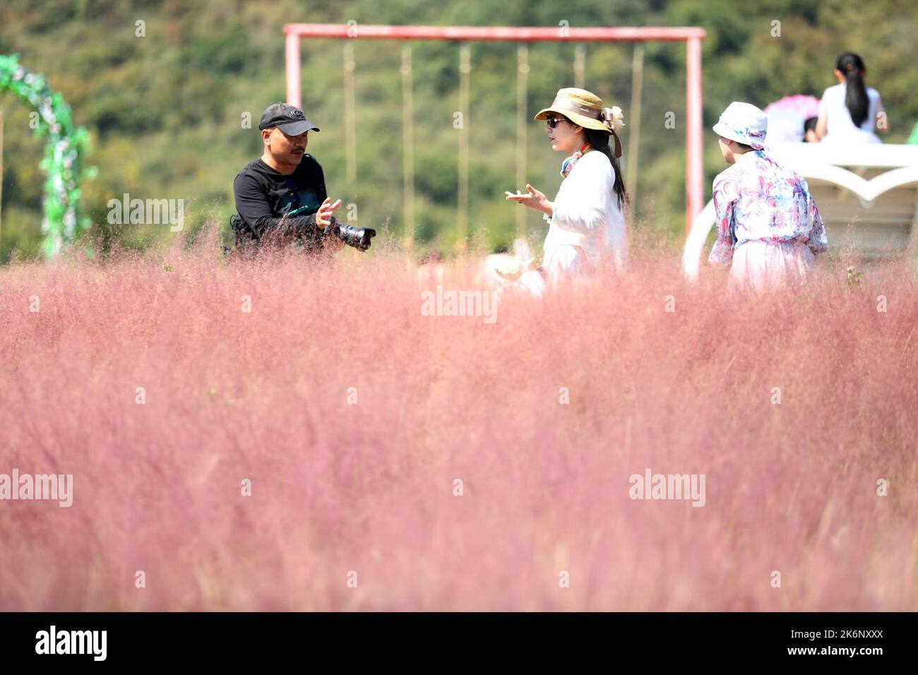 Tourists play among pink muhlygrass in Zixing city, Hunan Province, China, Oct 15, 2022 Stock ...