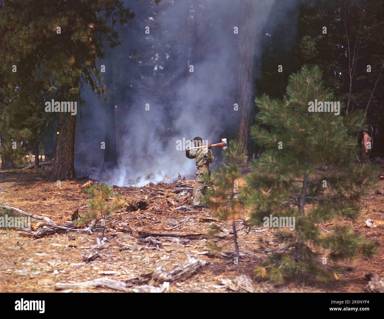 Photograph - Operation Fire Fly. Photograph - Operation Fire Fly ...