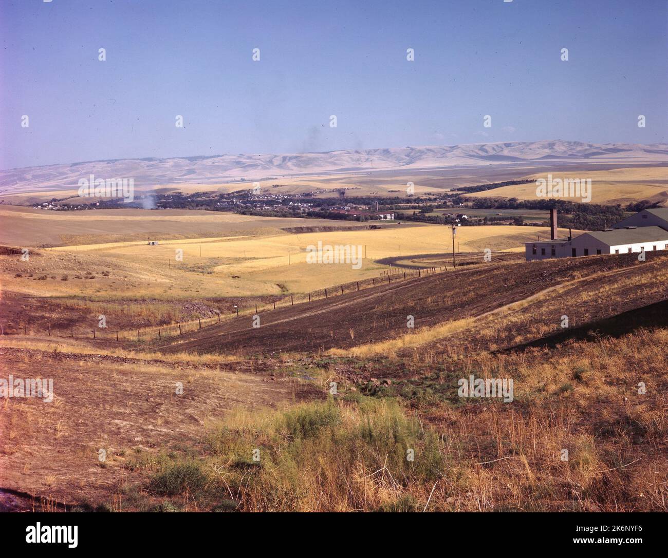 Photograph - Operation Fire Fly. Photograph - Operation Fire Fly ...