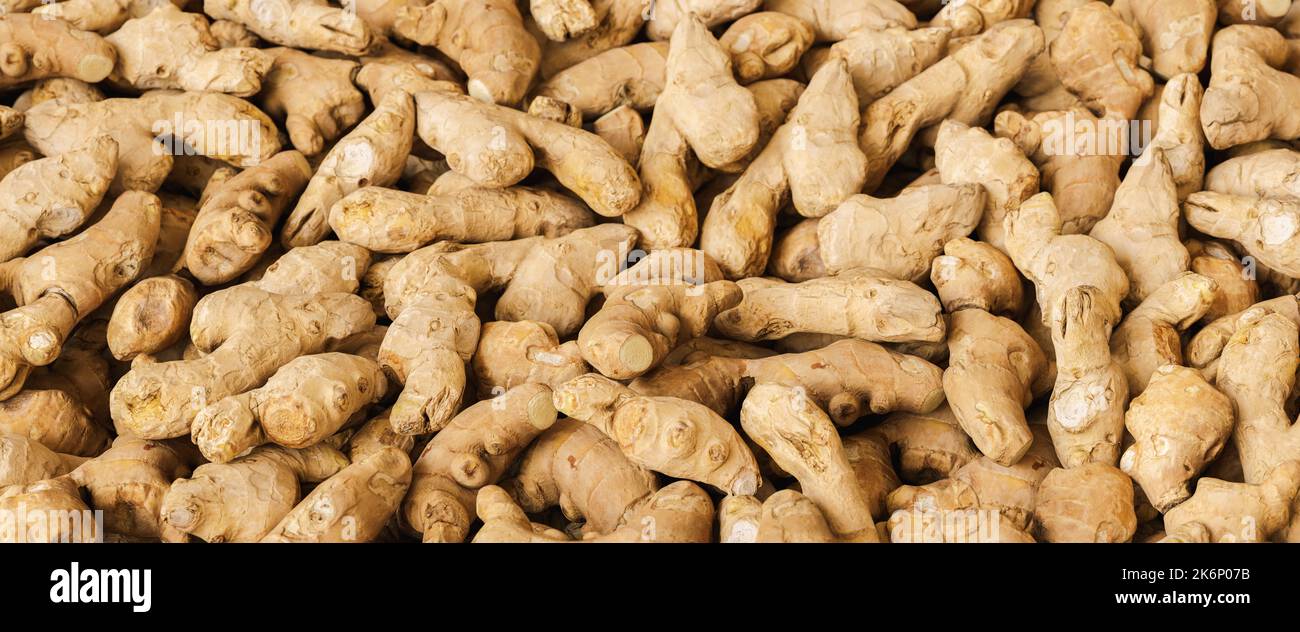 Plant roots soil ginger hi-res stock photography and images - Alamy