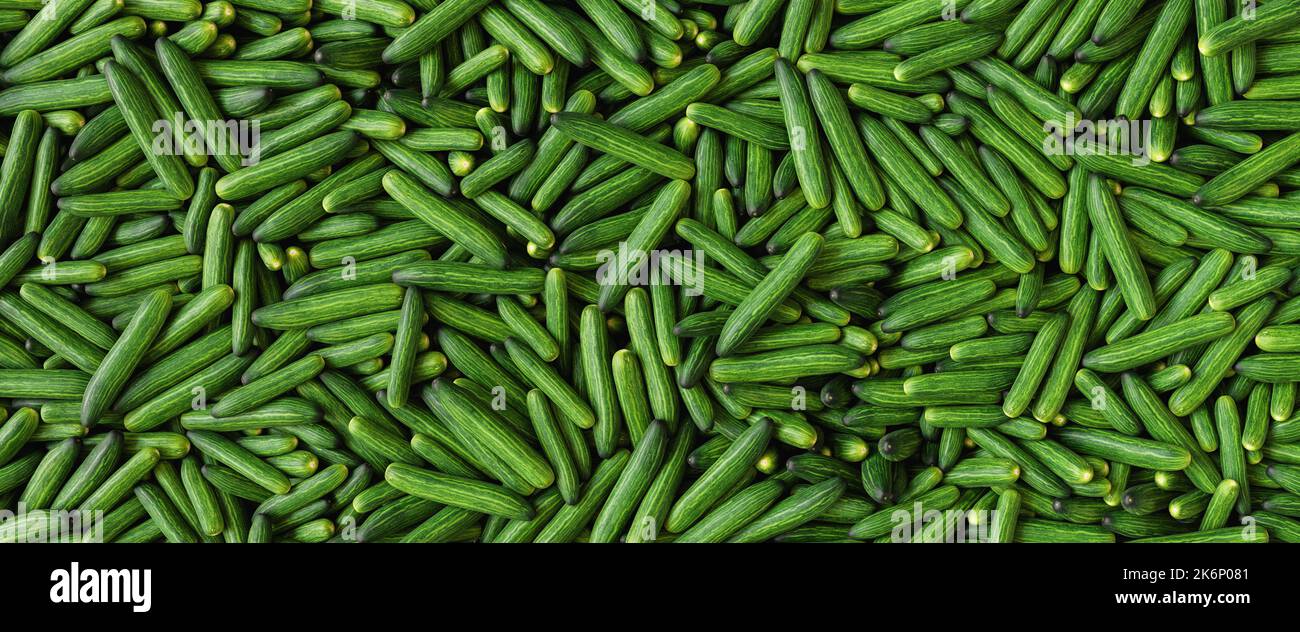 many Cucumbers on a market top view, greenhouse cucumbers, long ...