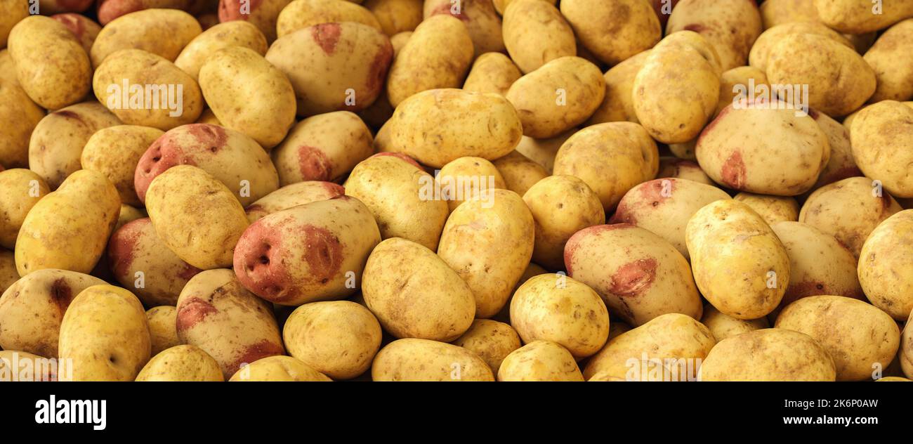 Potato background fruit texture hi-res stock photography and images - Alamy