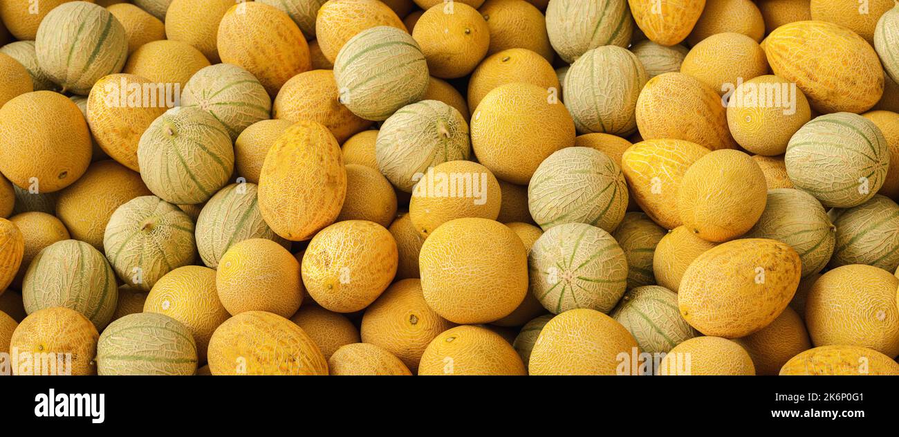 watermelons and honeydew melons Stock Photo - Alamy