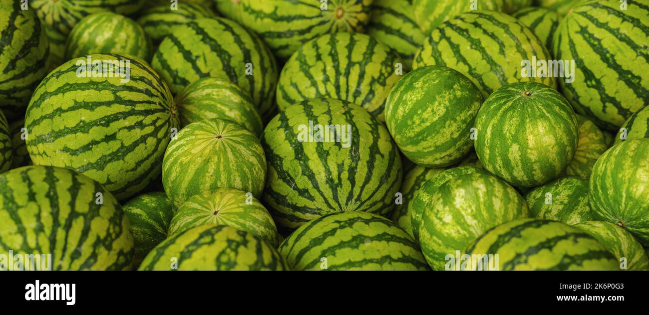 Pile of big sweet green watermelons Stock Photo - Alamy