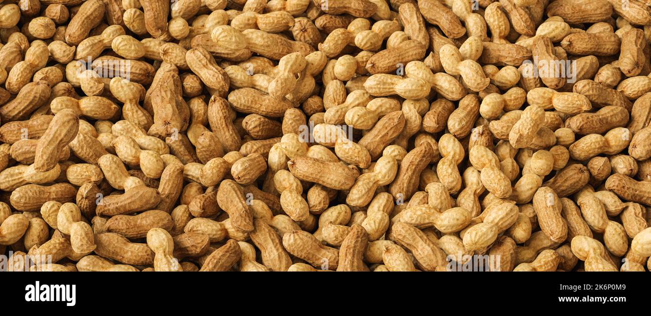 Dried peanuts with shell. Tasty groundnuts as texture Stock Photo - Alamy