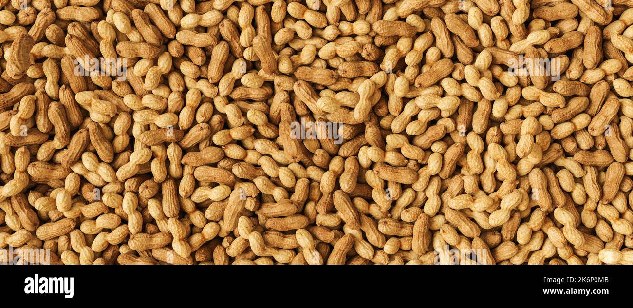 Tasty peanuts as texture, banner size Stock Photo - Alamy