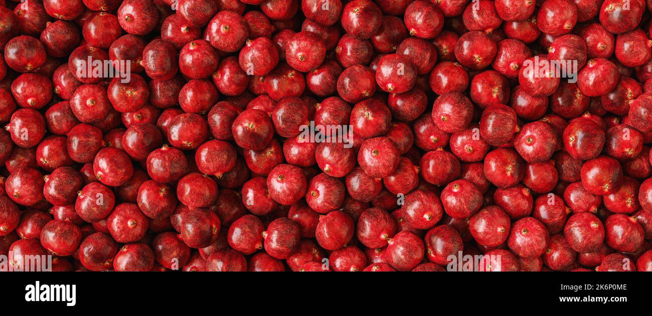 Pomegranate garnet fruit background pattern, banner size Stock Photo ...